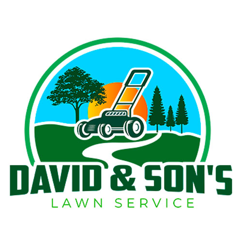 David & Son's Lawn Service - Trusted Landscaping Services